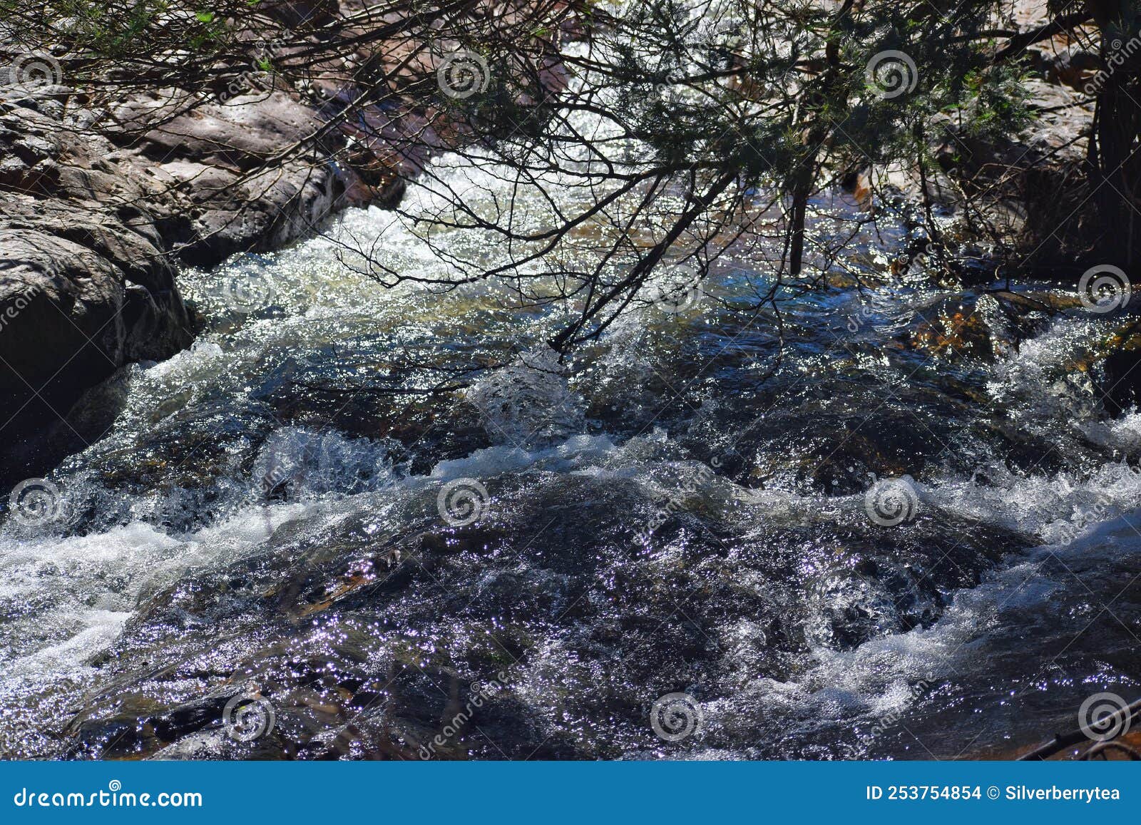 Rushing Water Down the Hill Stock Photo - Image of wilderness, forest ...