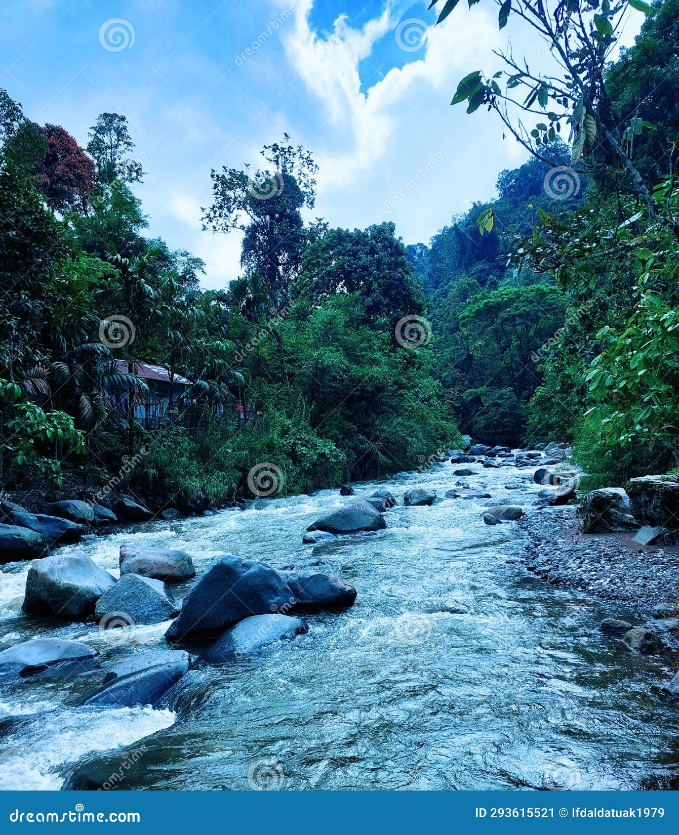 River, Water and Stones with Greenery and Trees Stock Image - Image of ...