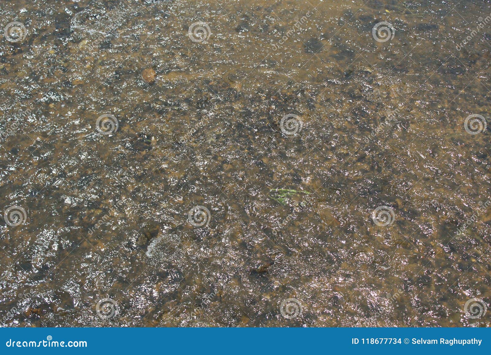 River Water Texture Stock Photos - Download 39,479 Images