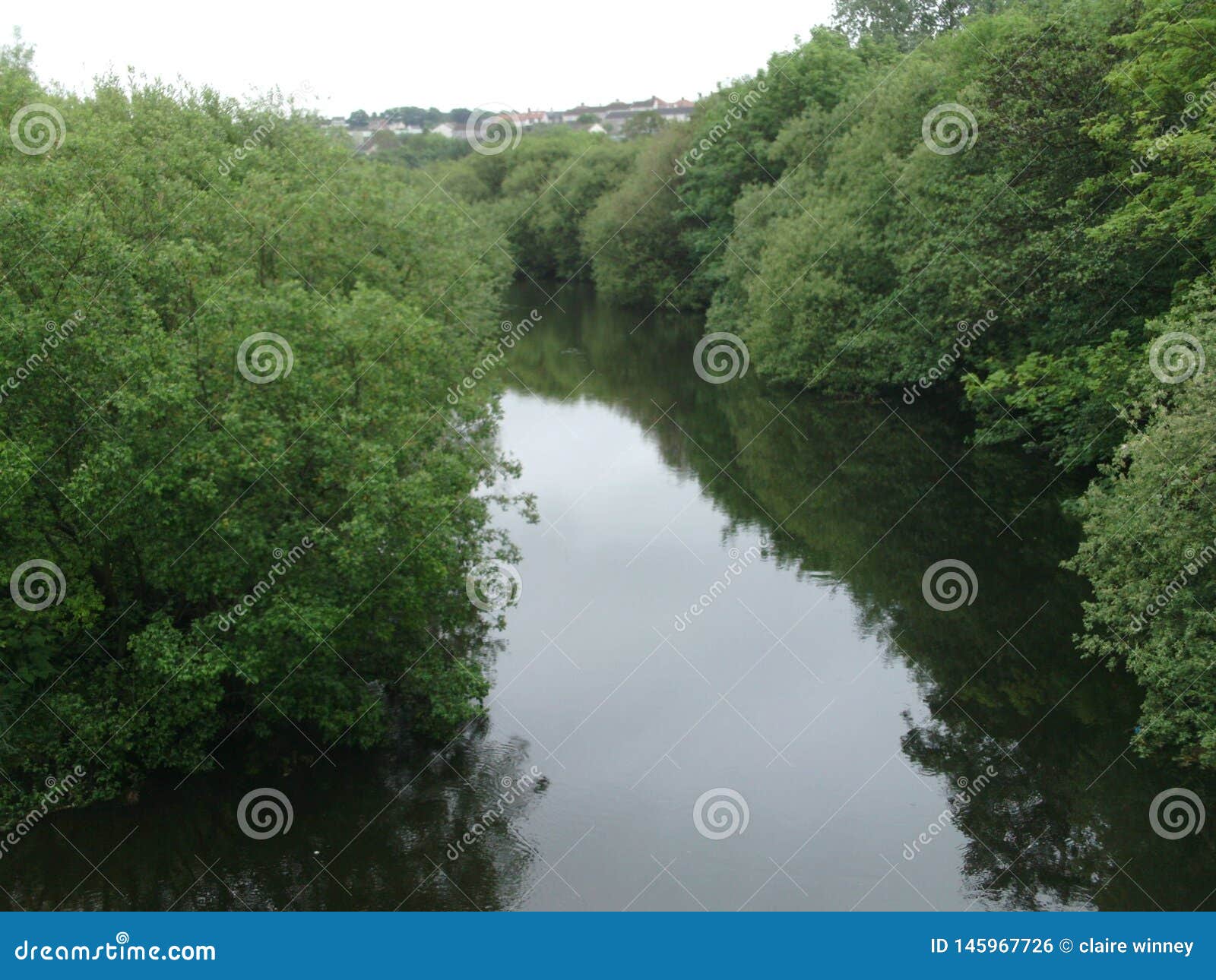 River stock photo. Image of reflection, water, river - 145967726