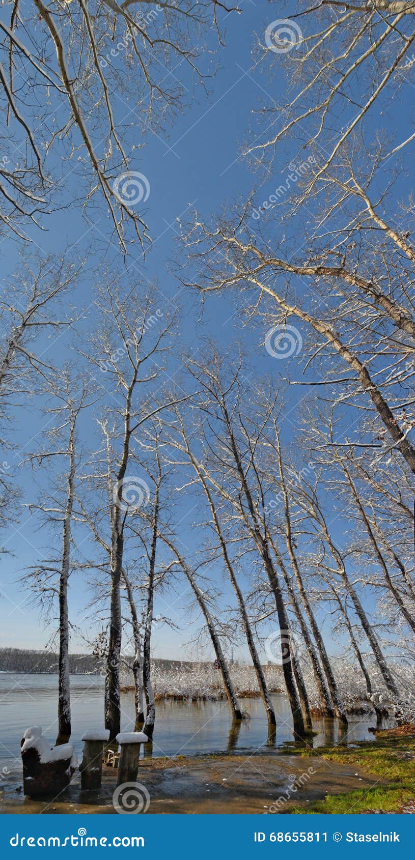 River water trees snow stock image. Image of illuminated - 68655811