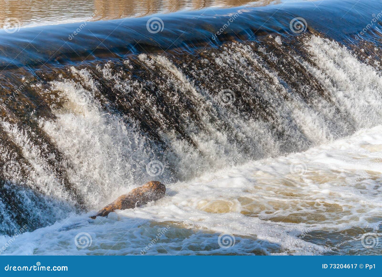 River Water Weir with Dead Fish Stock Image - Image of reflection ...