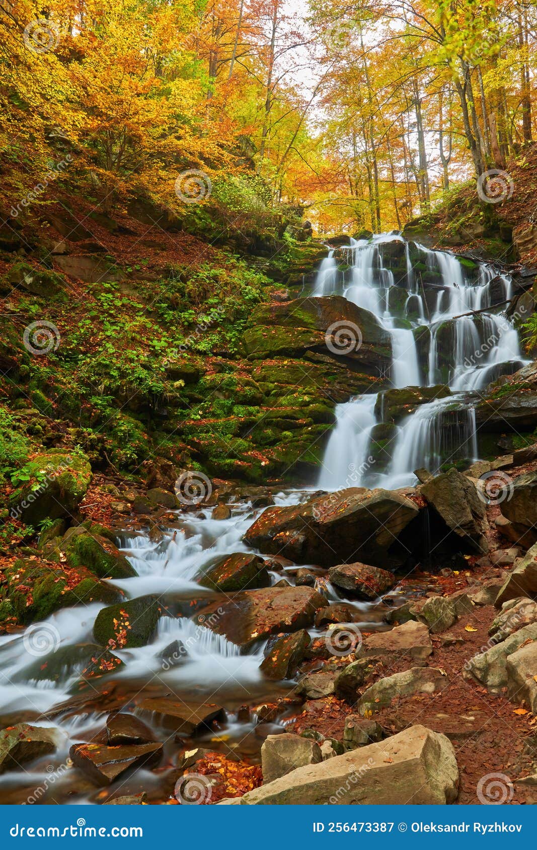 River Waterfall in the Autumn Forest. Autumn Forest Waterfall Stock ...