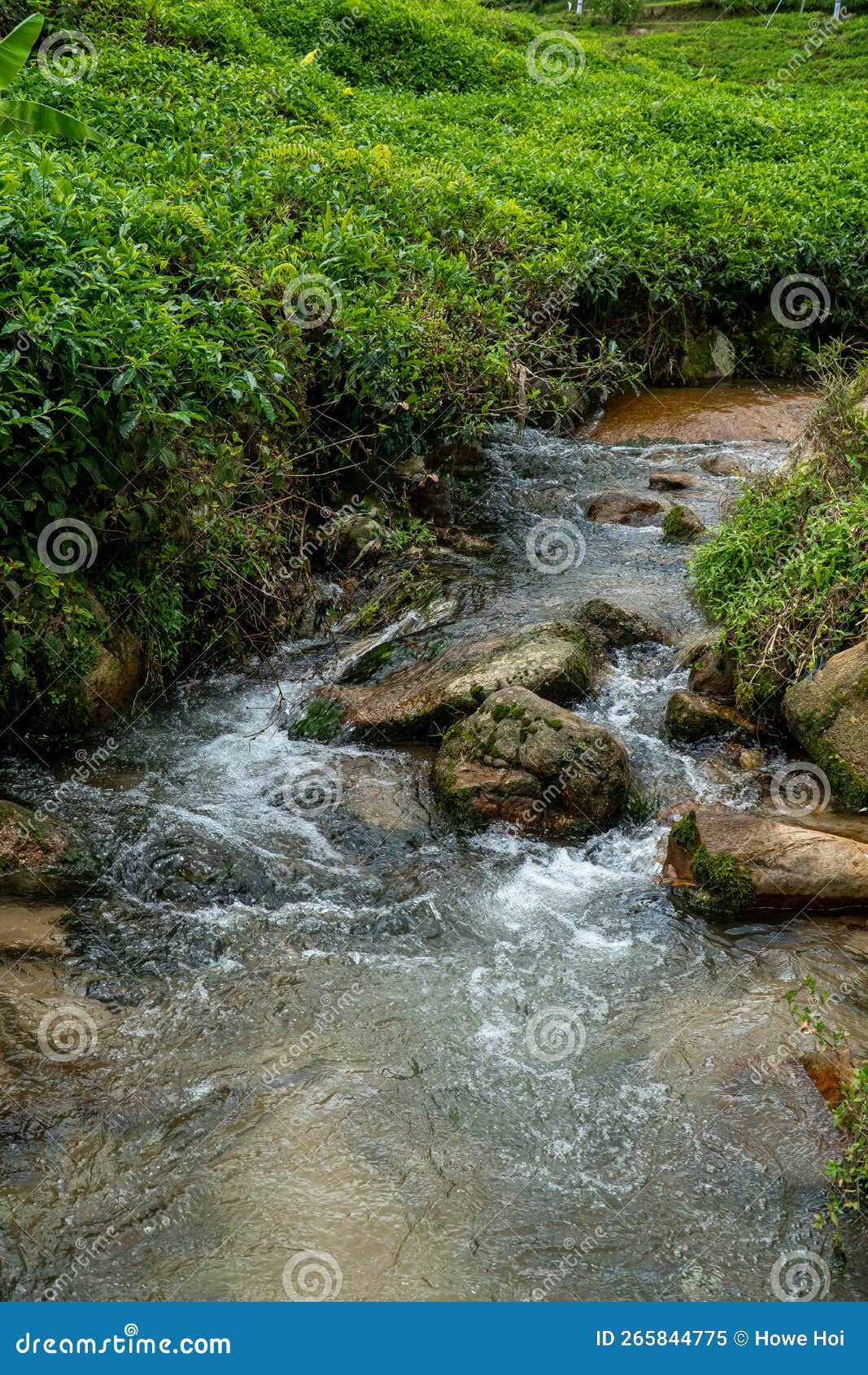 River Waterfall in Forest. Water Flow in the Stream with Rock on the ...