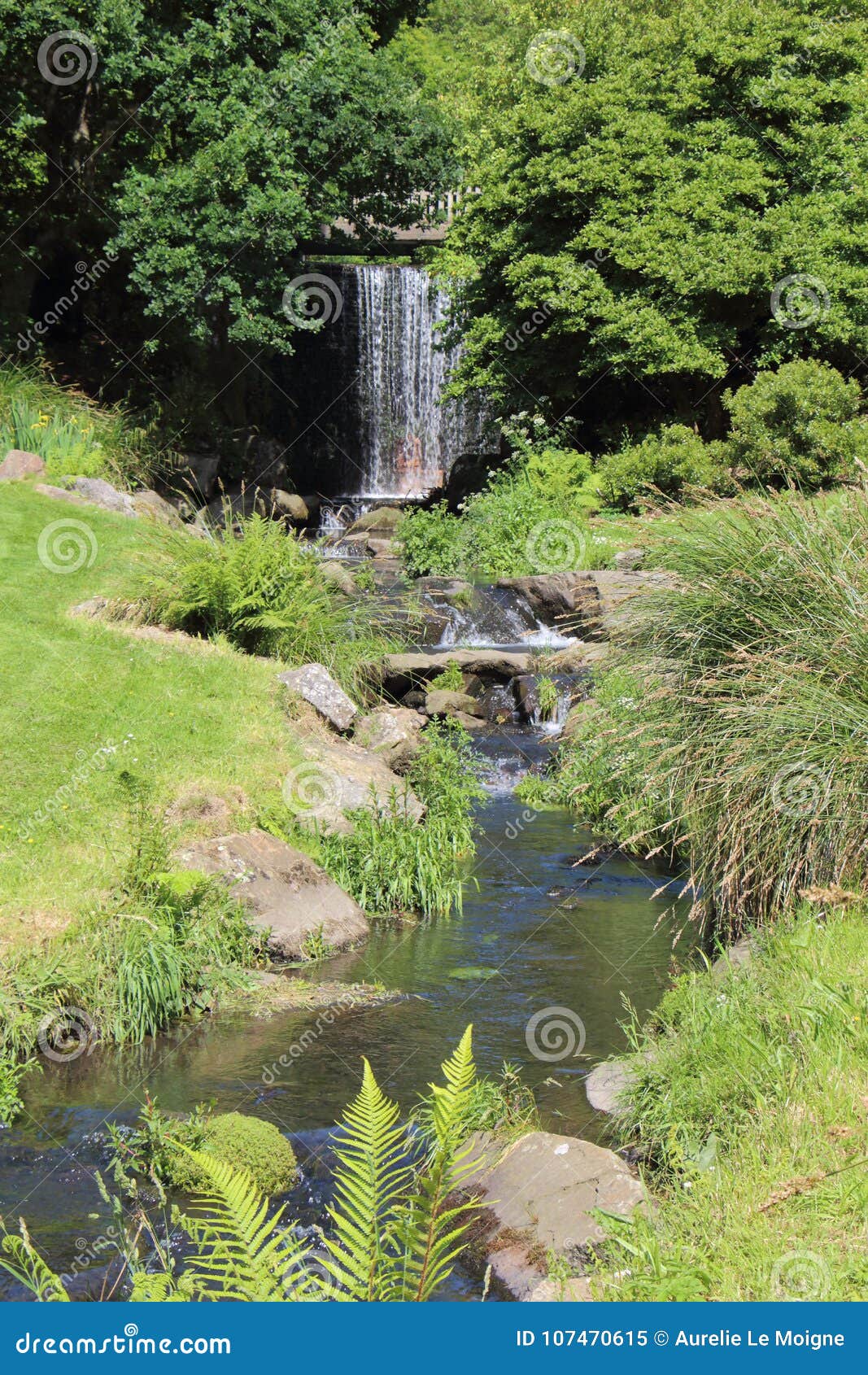 River and Waterfall in a Park Stock Image - Image of public, waterfall ...