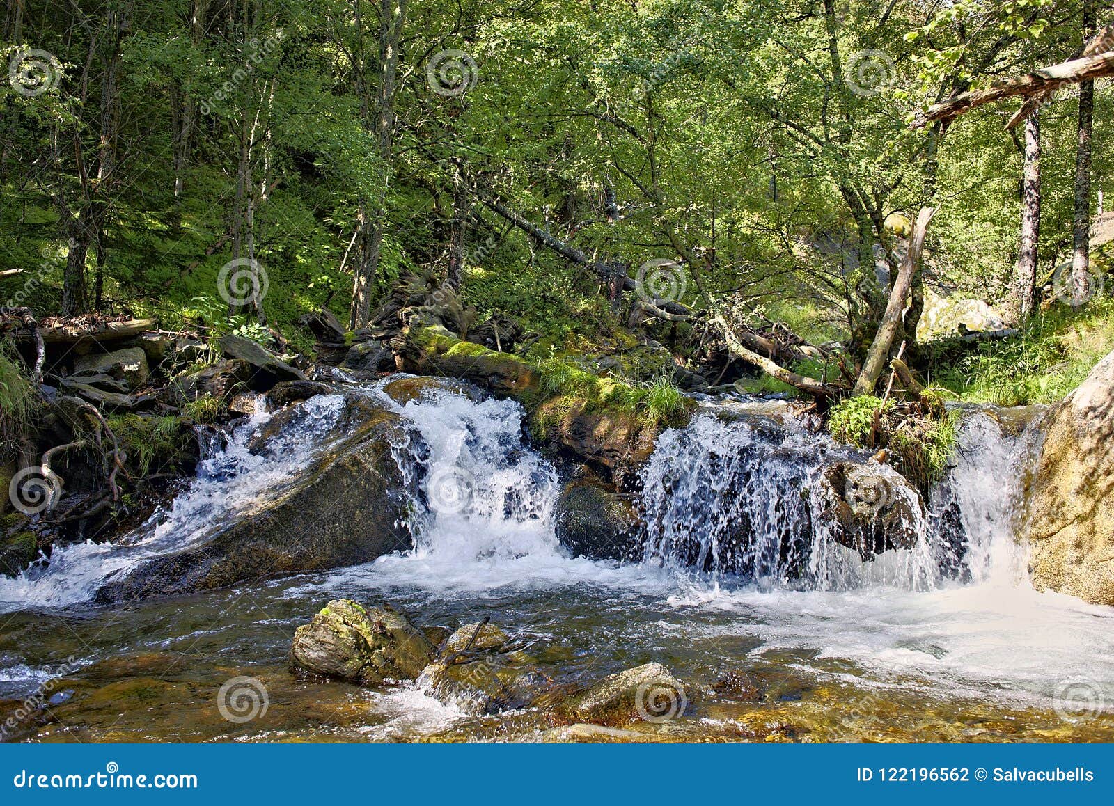 River and Waterfall in the Pyrenees Forest Stock Photo - Image of ...