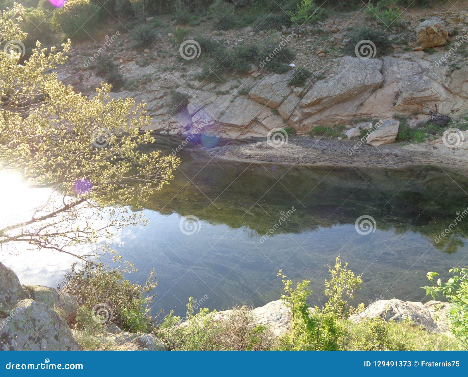 Riverl scene - nature stock image. Image of season, grass - 129491373