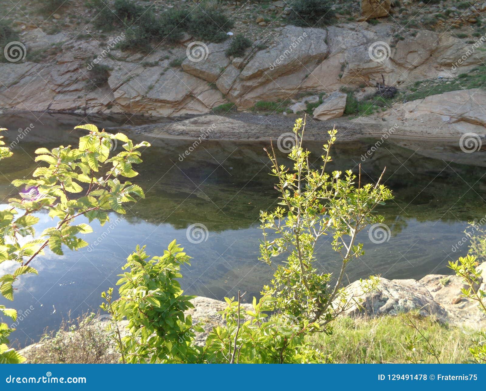 Riverl scene - nature stock photo. Image of grass, landscape - 129491478