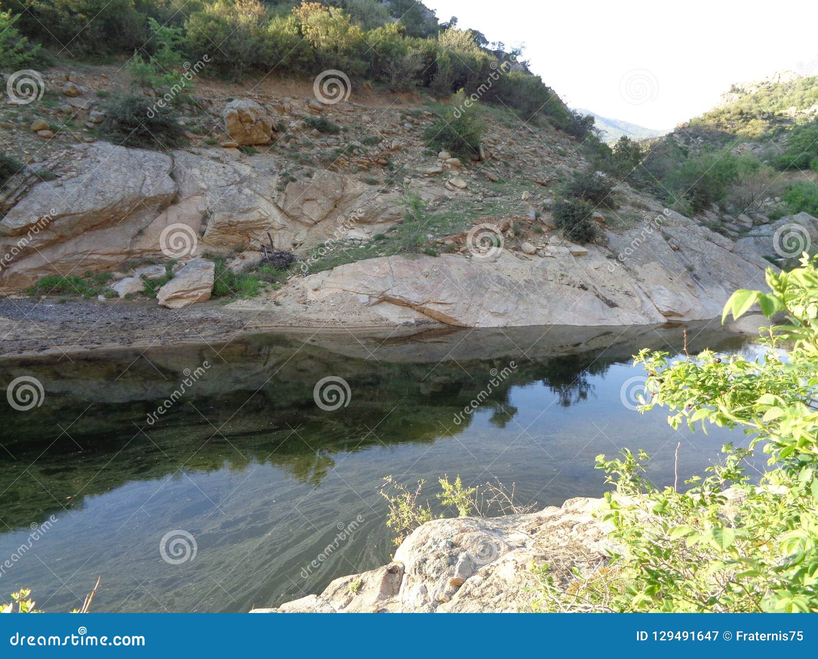 Riverl scene - nature stock image. Image of beauty, natural - 129491647