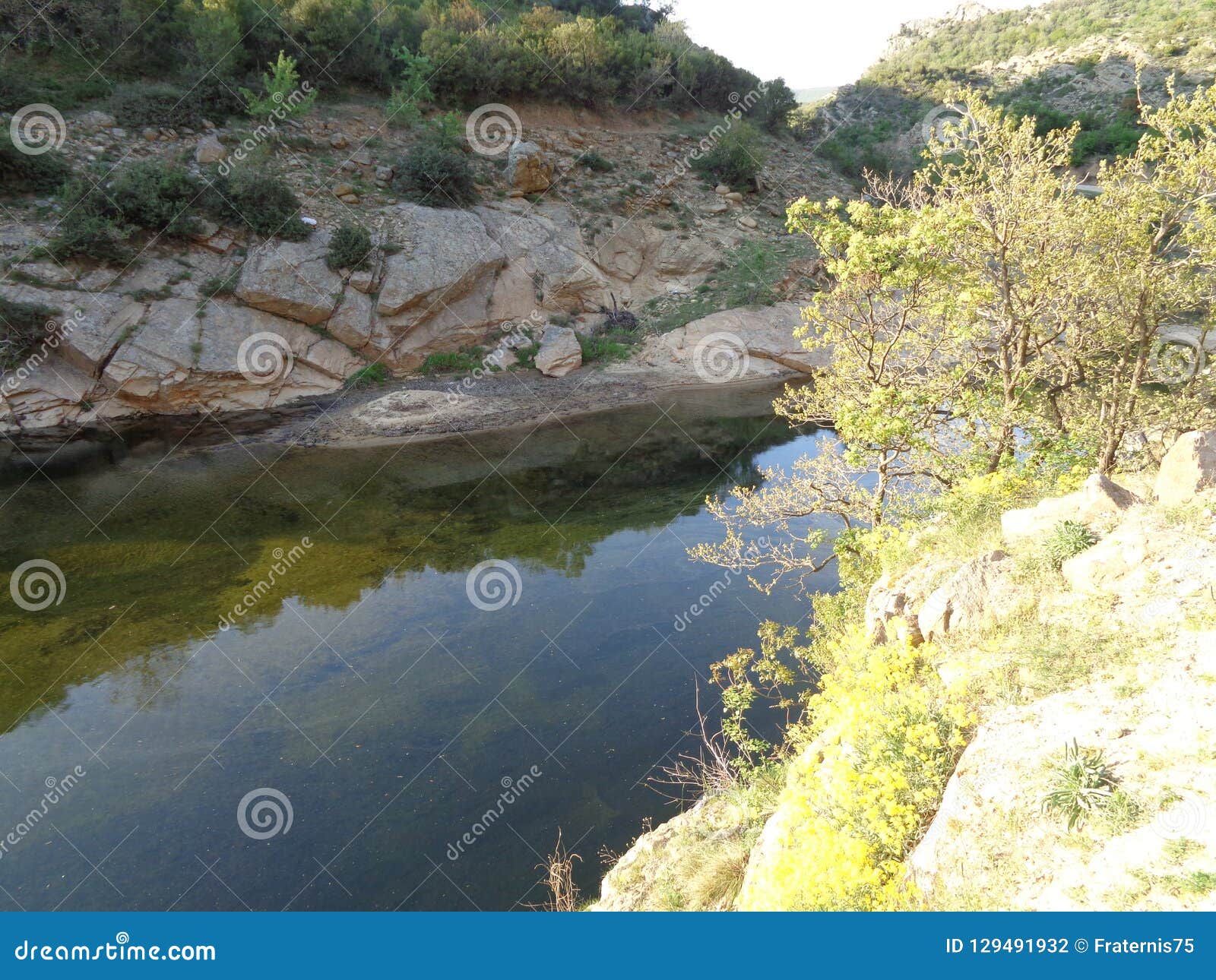 Riverl scene - nature stock photo. Image of natural - 129491932