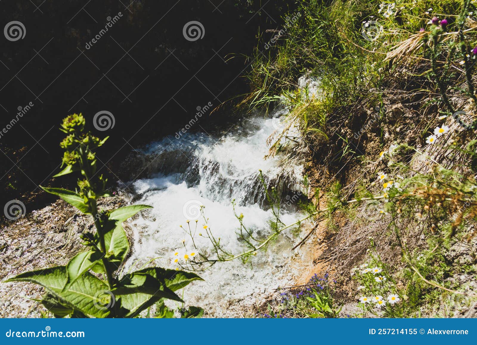 River Waterfall. Water Flows Down. Mountain Stream in Green Thickets ...