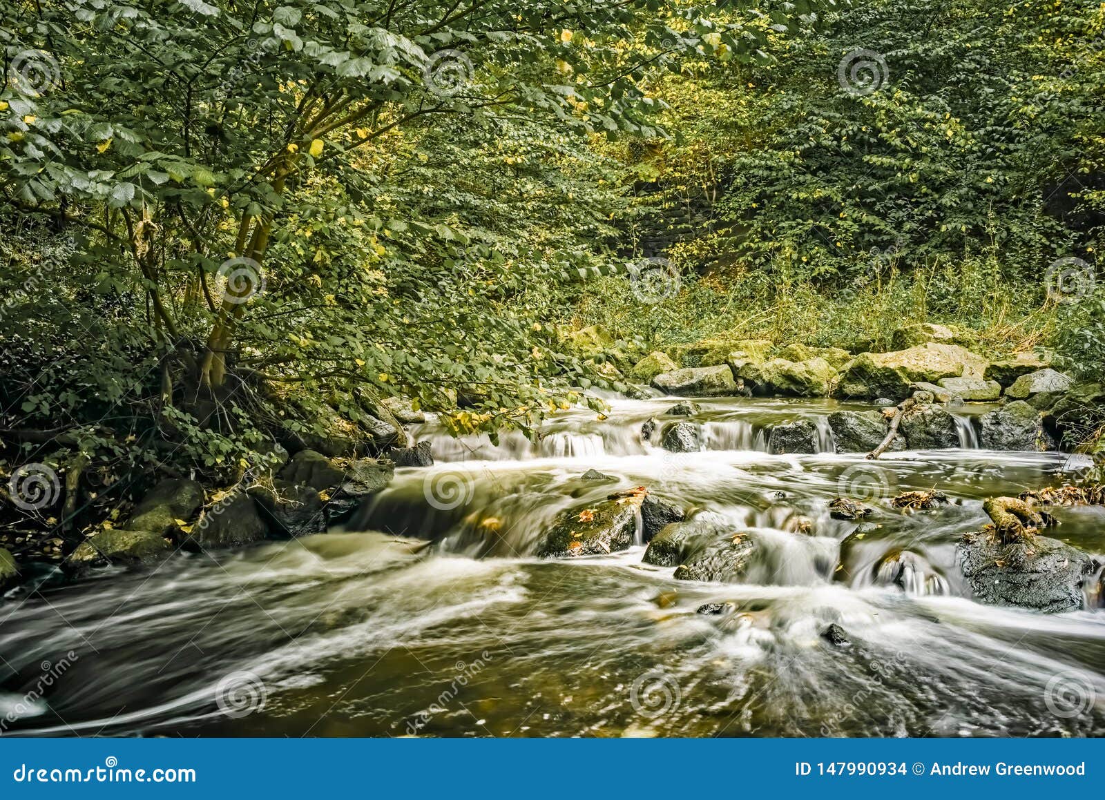 Slow Running River in Spring Stock Photo - Image of scene, water: 147990934