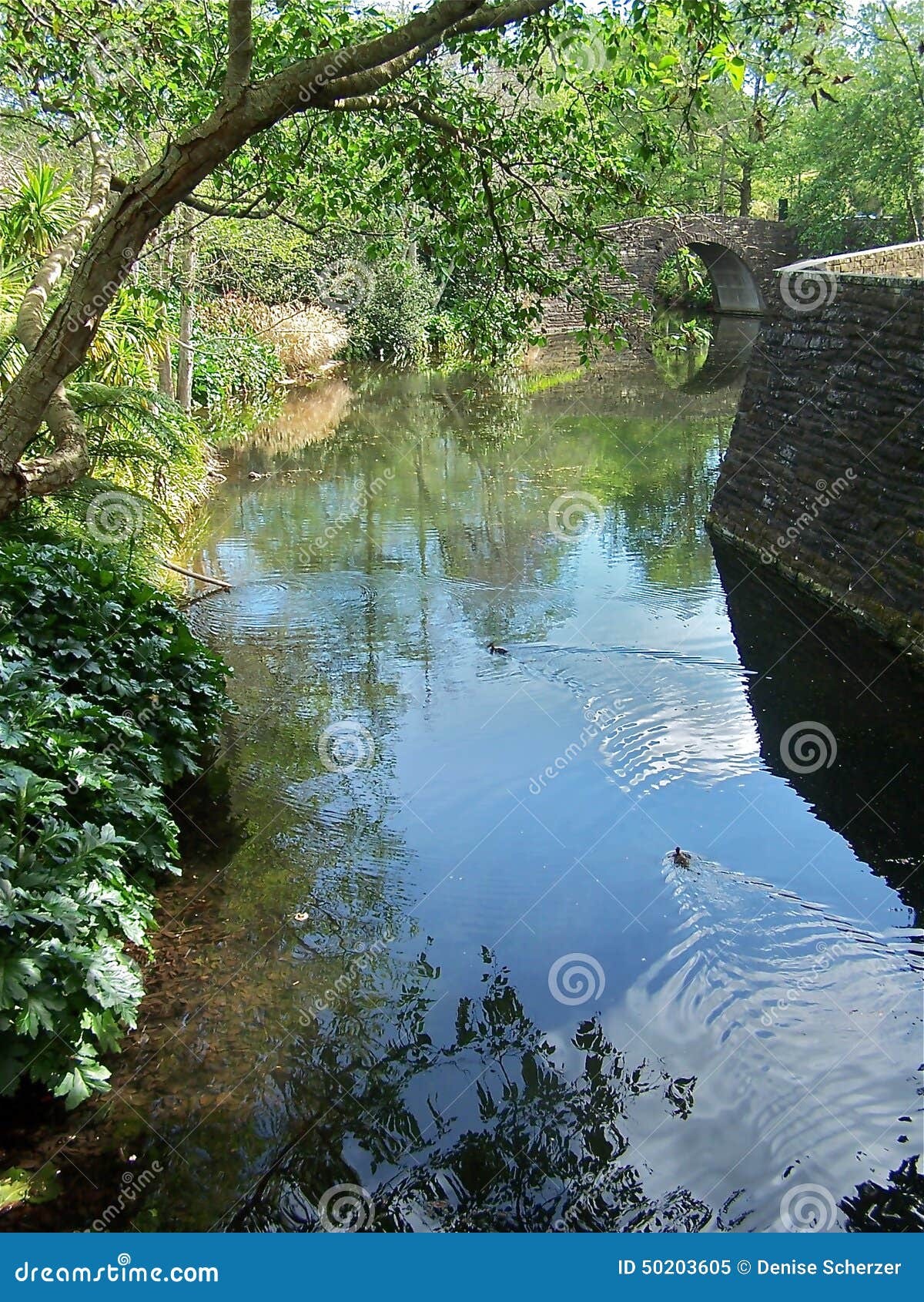 River way stock image. Image of river, bridge, romantic - 50203605