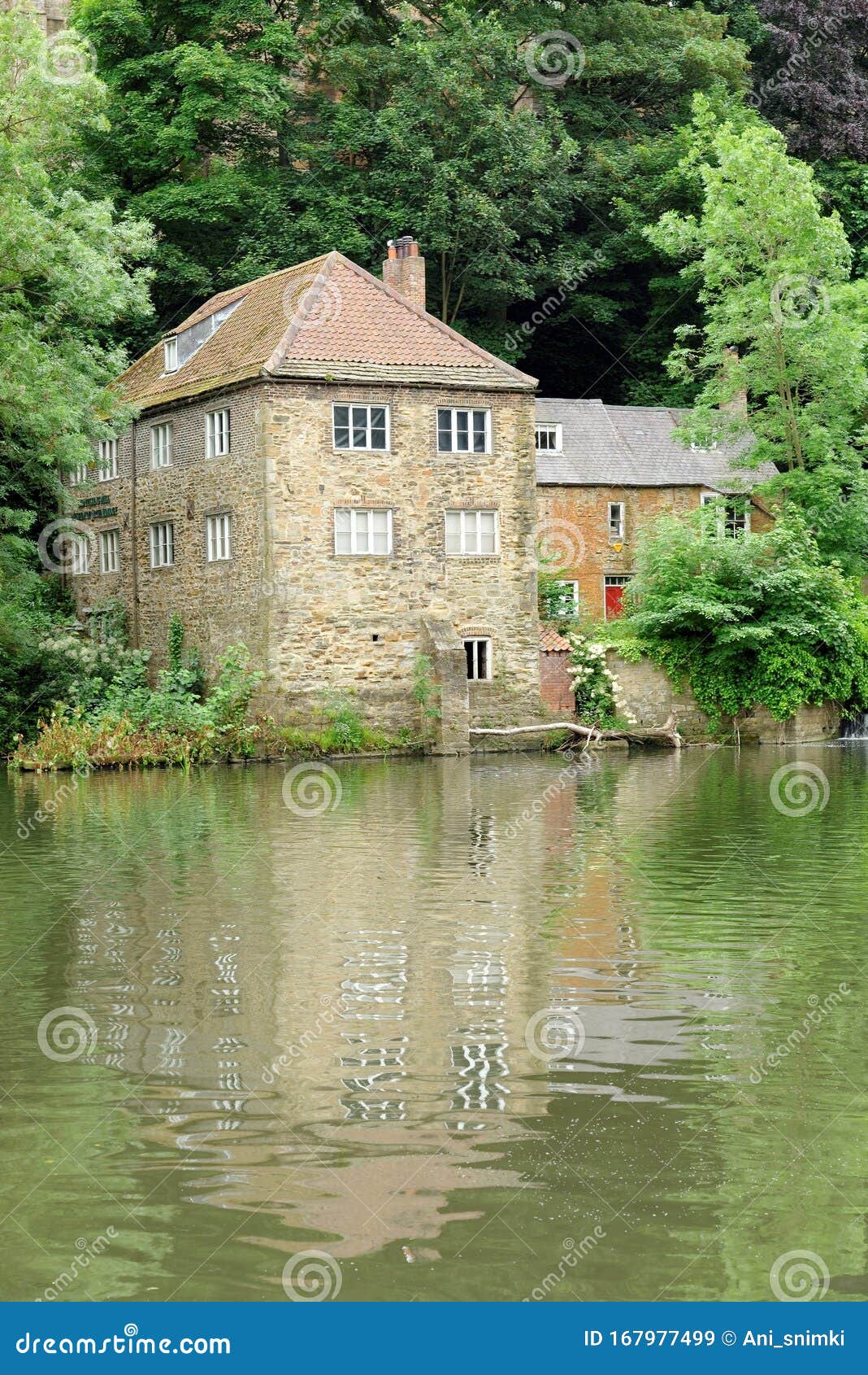 River Wear in Durham, England Stock Image - Image of nature, cultural ...