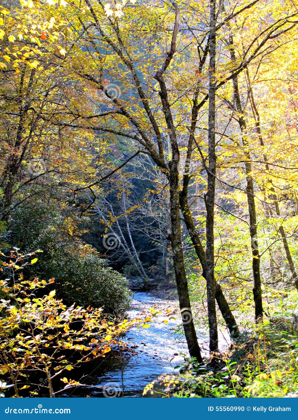 River Winding through Mountains in the Fall Stock Photo - Image of ... River Winding through Mountains in the Fall Stock Photo - Image of ...