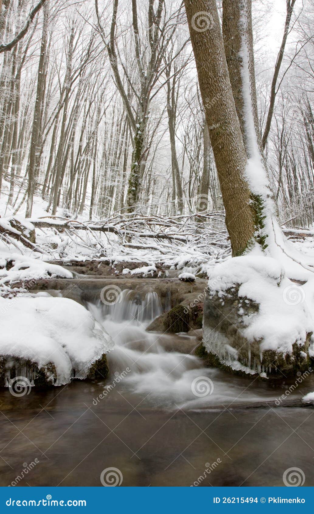River in winter forest stock photo. Image of white, abstract - 26215494