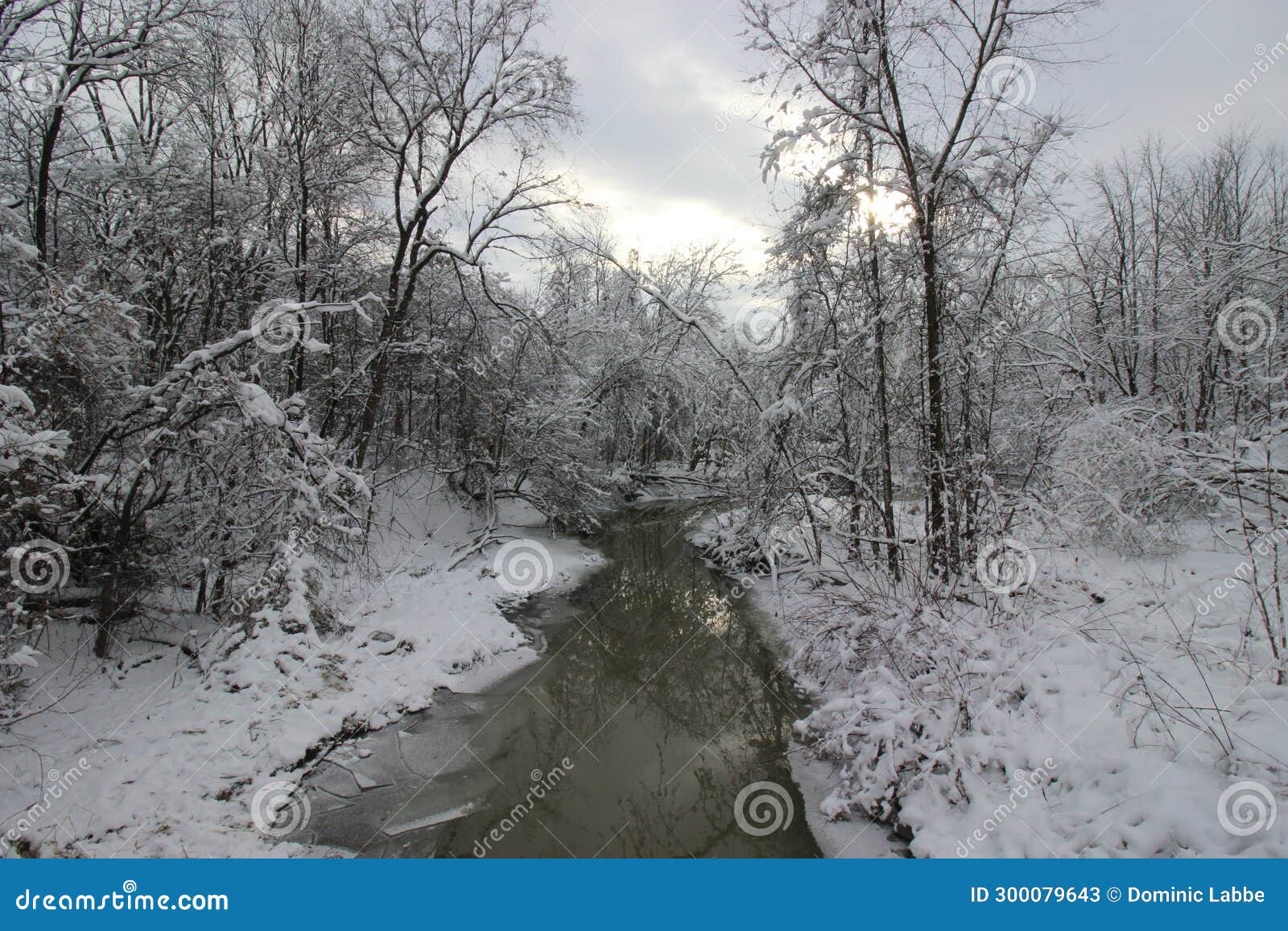 River in Winter with Snow Covered Trees Stock Image - Image of tree ...