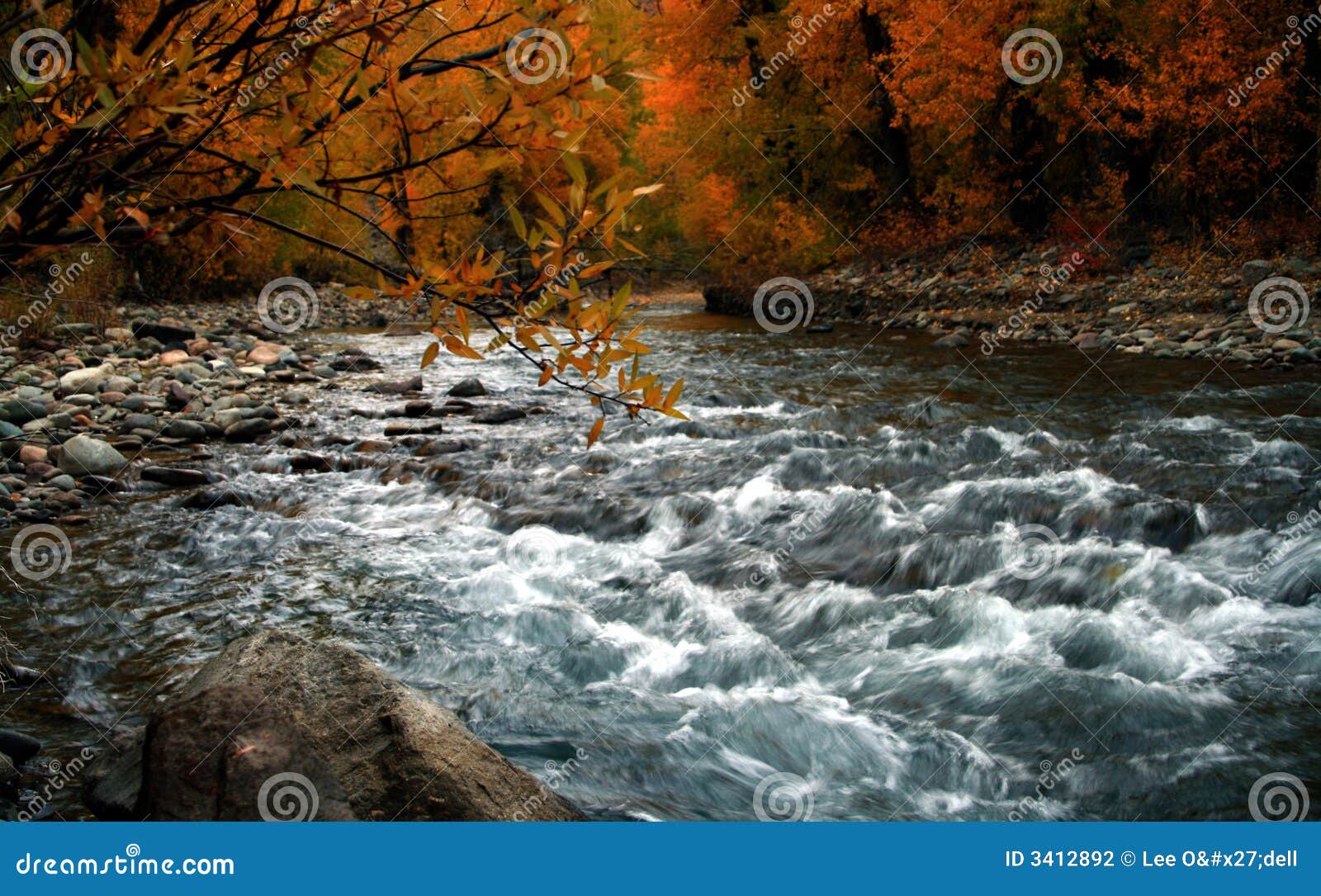 River of Wood 2 stock photo. Image of pure, autumn, wood - 3412892