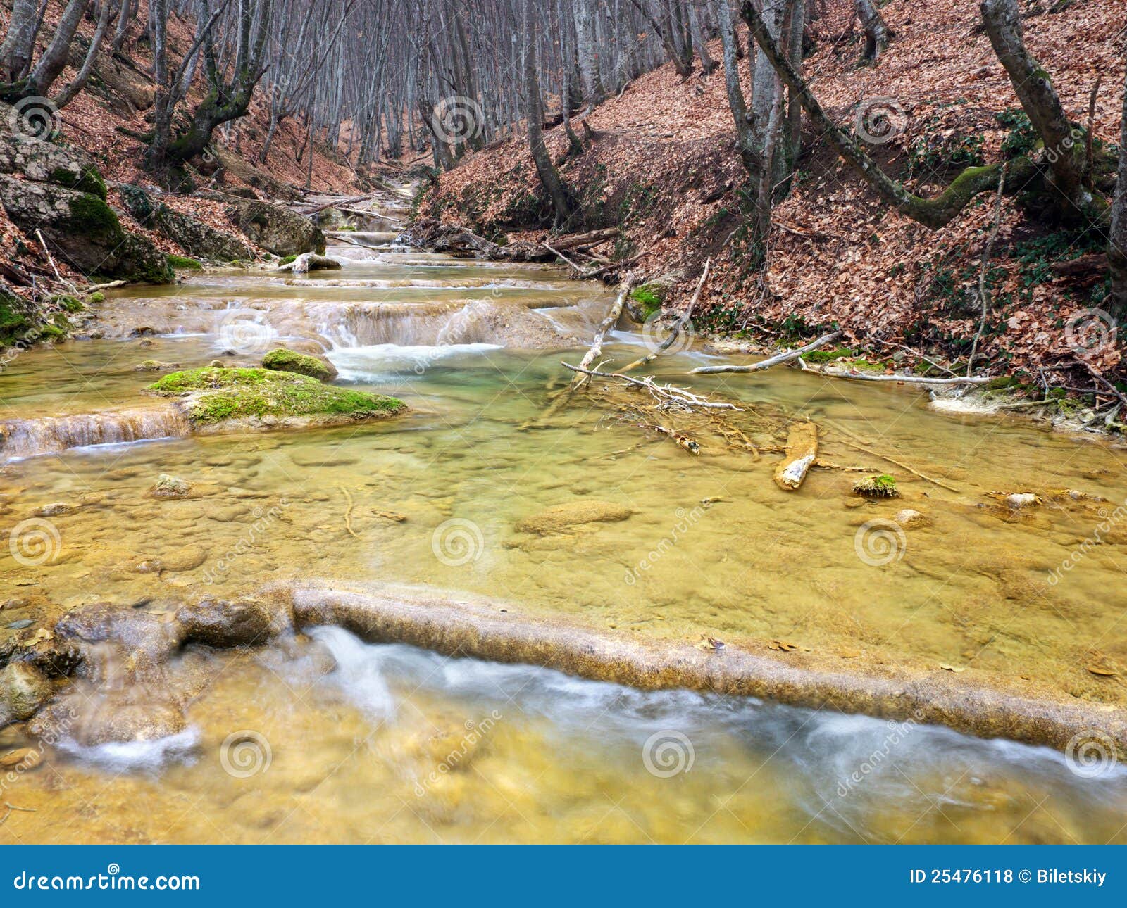 River in wood stock photo. Image of fall, scenic, beauty - 25476118