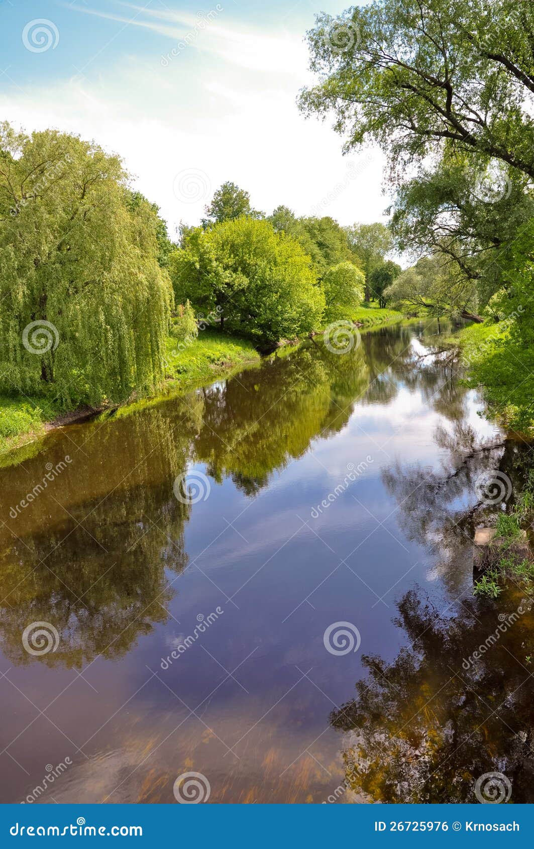 The river in the wood stock photo. Image of branches - 26725976