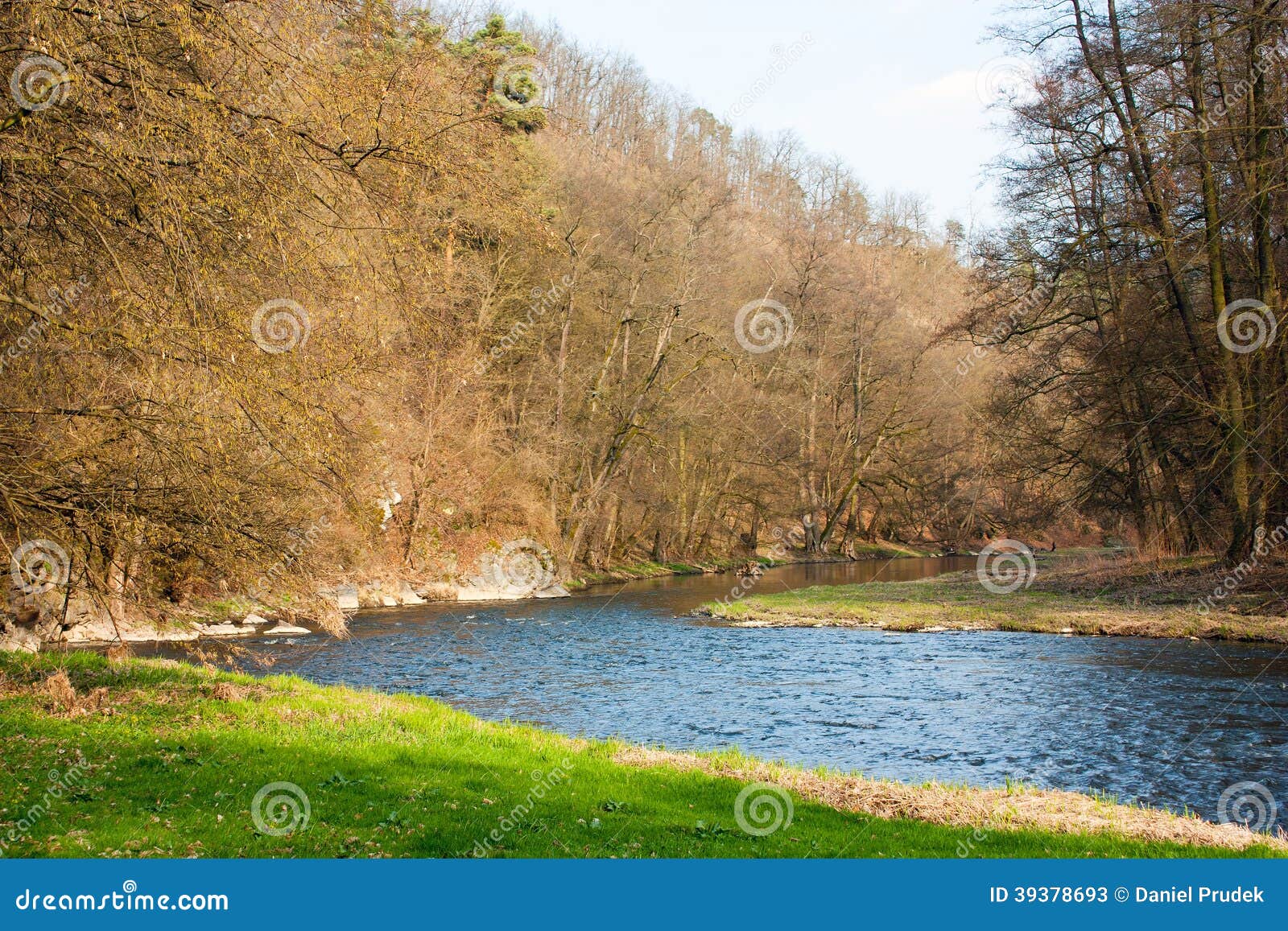 River and wood stock image. Image of rock, grass, tree - 39378693