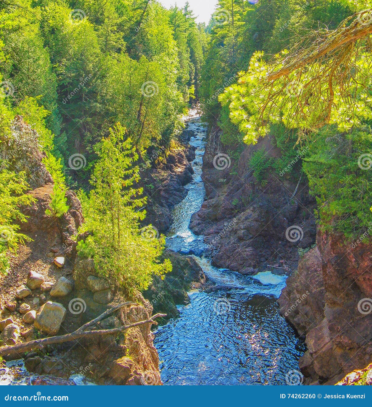 River through the woods stock photo. Image of flowing - 74262260