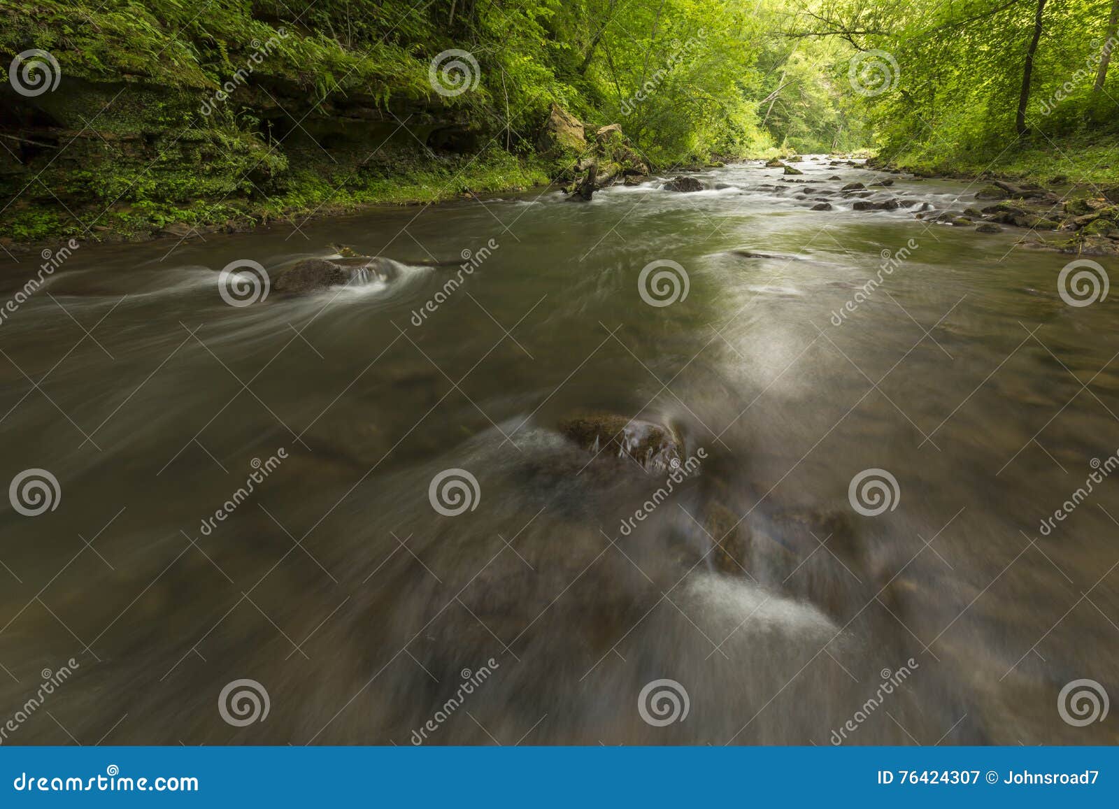 River in the Woods stock image. Image of summertime, peaceful - 76424307