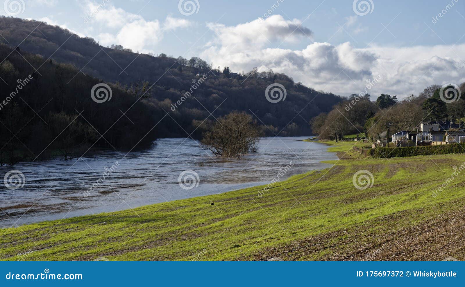River Wye in flood stock photo. Image of woodland, crops - 175697372