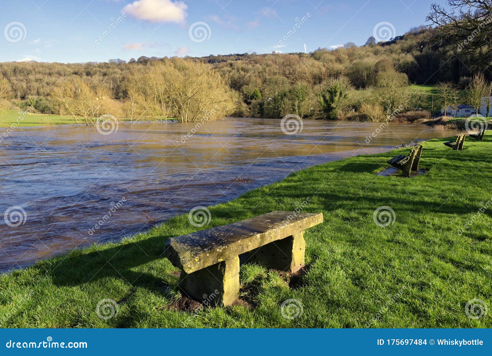River Wye in flood stock photo. Image of england, lydbrook - 175697484