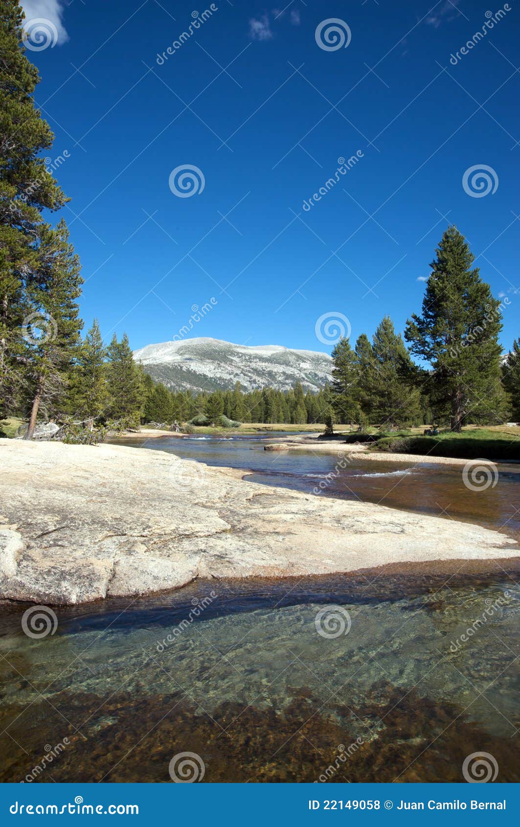 River in Yosemite stock photo. Image of outdoors, lonely - 22149058