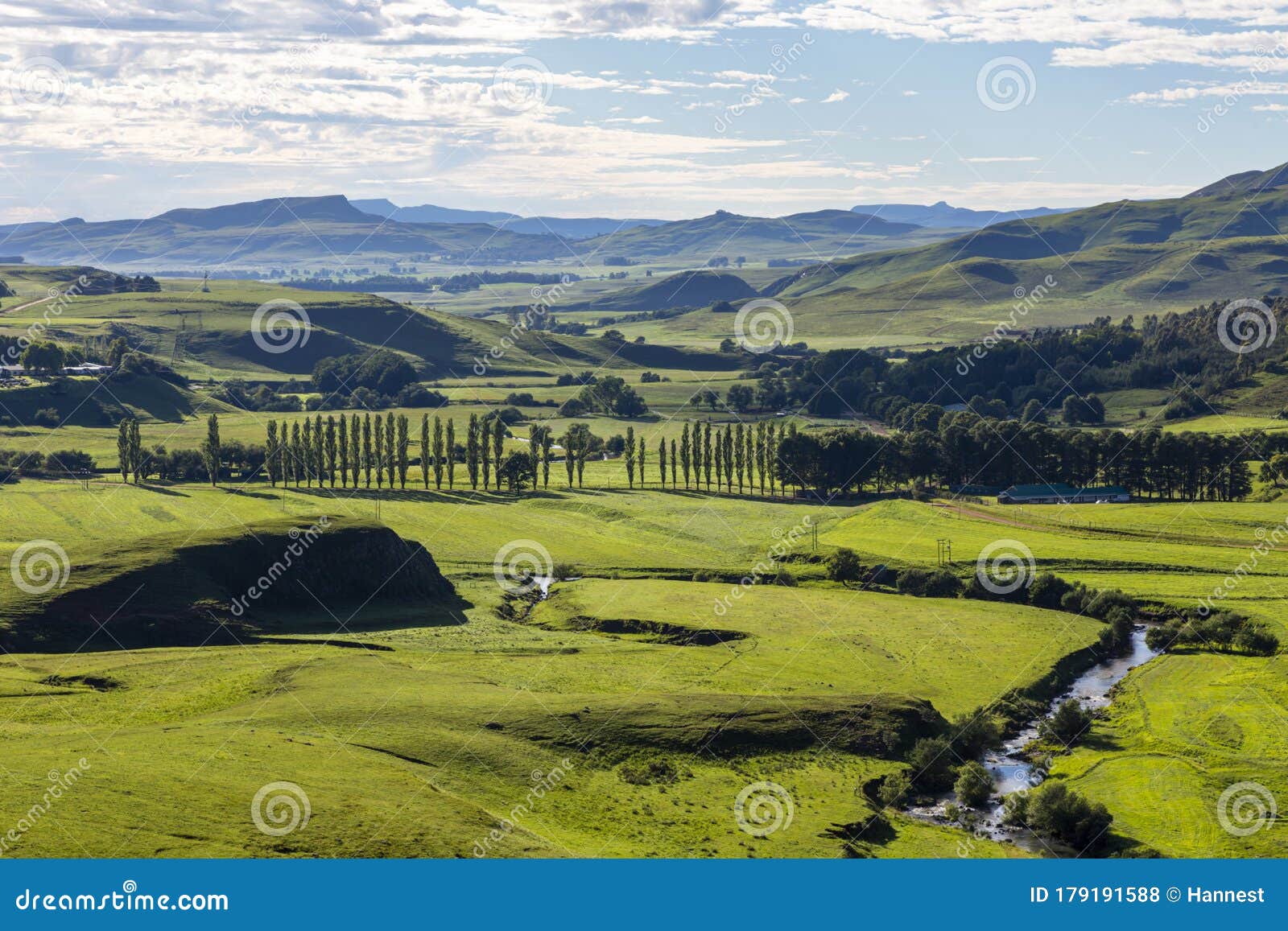 River Zig-zag in Green Valley with Trees Lining the Road Stock Photo ...