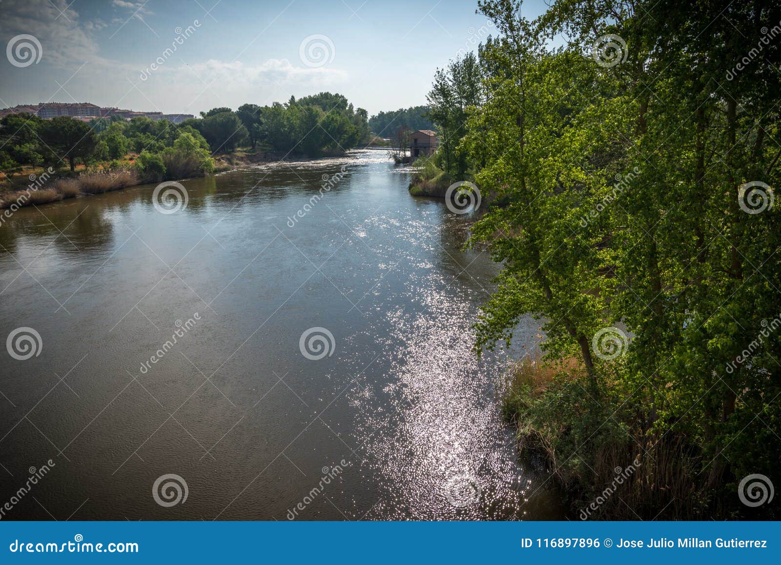 Rivera of the River in Spring Stock Photo - Image of idyllic, garden ...