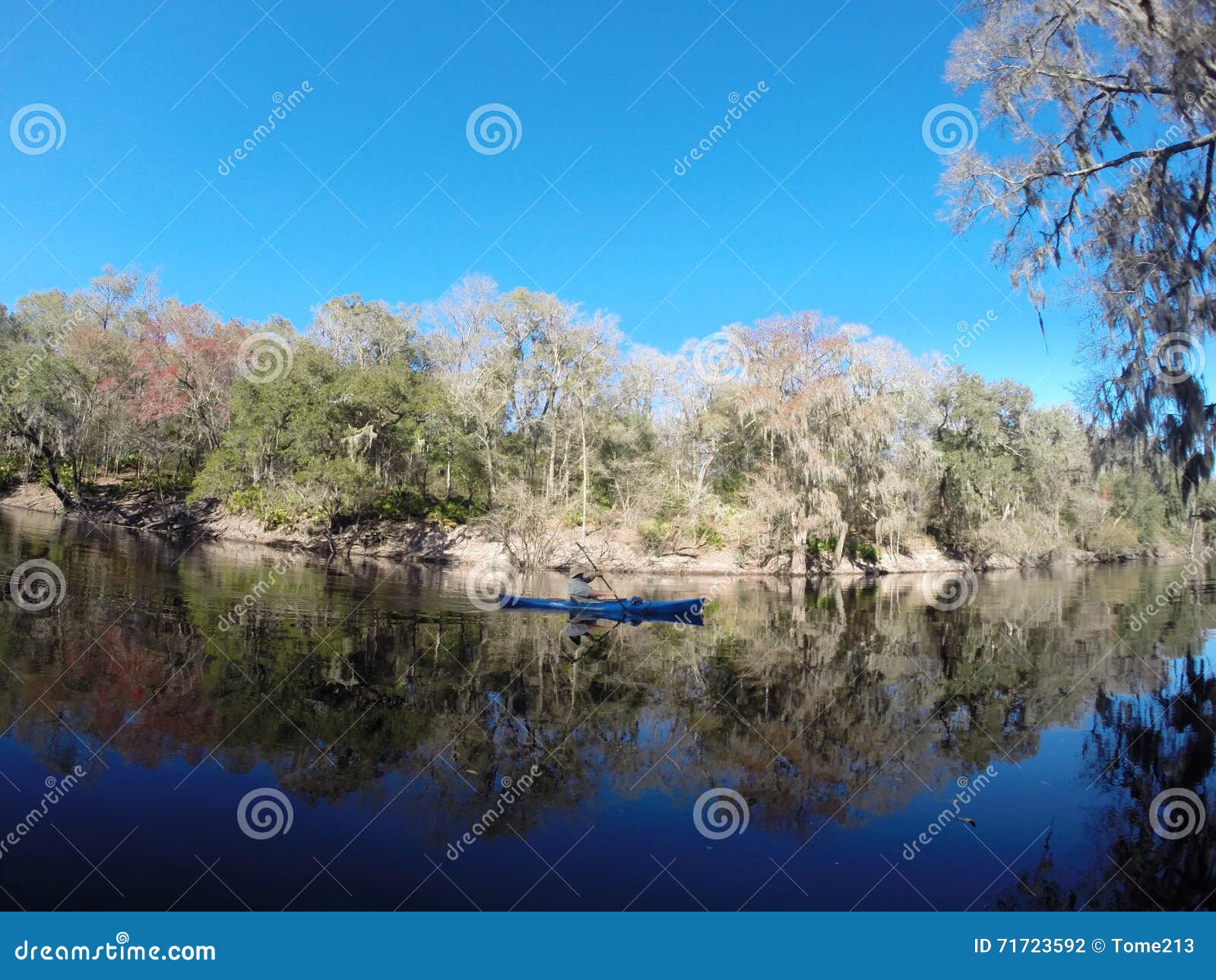 Riverbank fotografia stock. Immagine di calcare, riva - 71723592