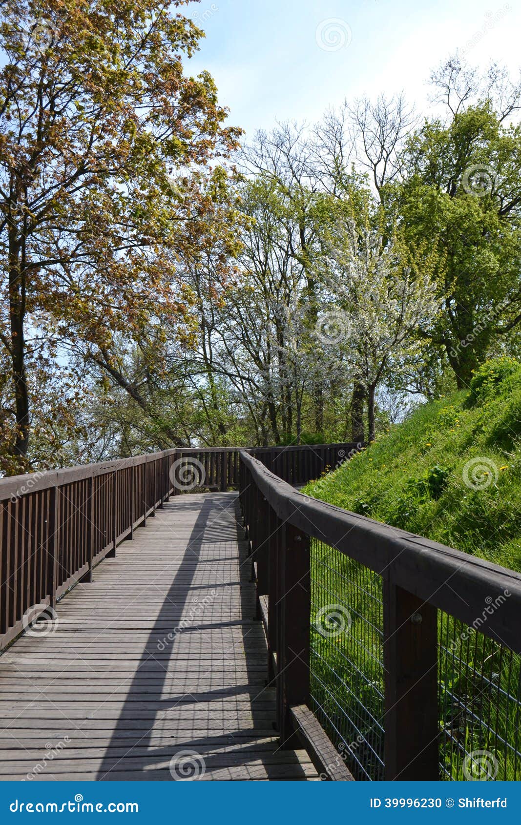 Riverbank Bridge stock photo. Image of trees, grass, bridge - 39996230