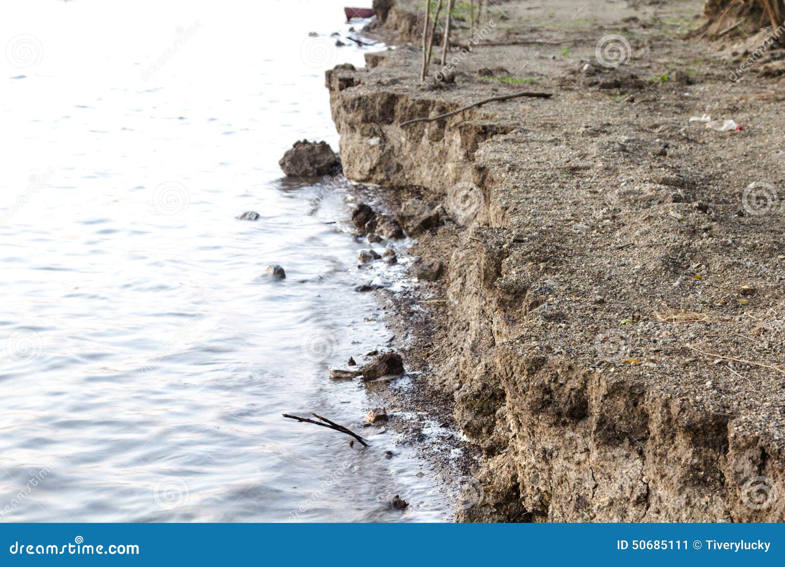 Riverbank stock image. Image of jungle, amazing, river - 50685111