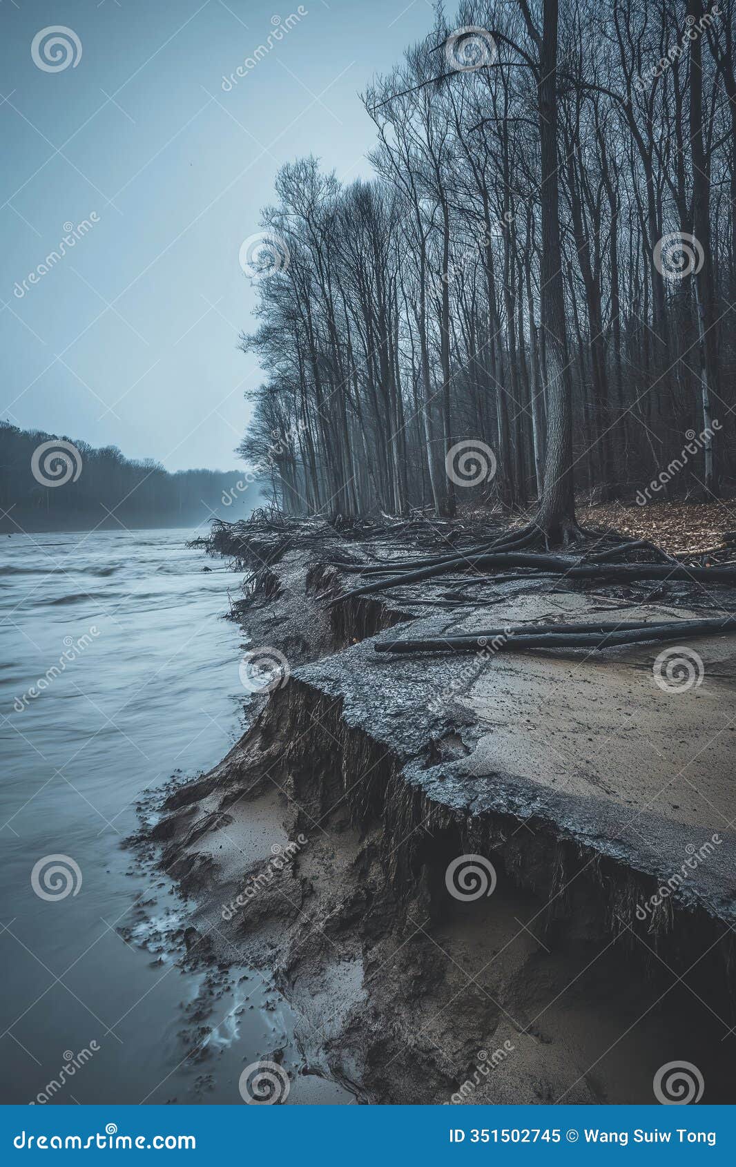 Riverbank Eroding with Exposed Tree Roots after Flood Stock ...