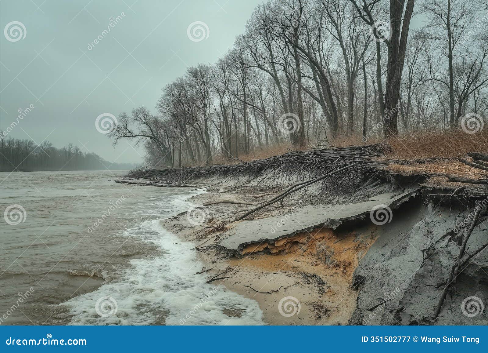 Riverbank Eroding Showing Tree Roots during Spring Flood Stock ...