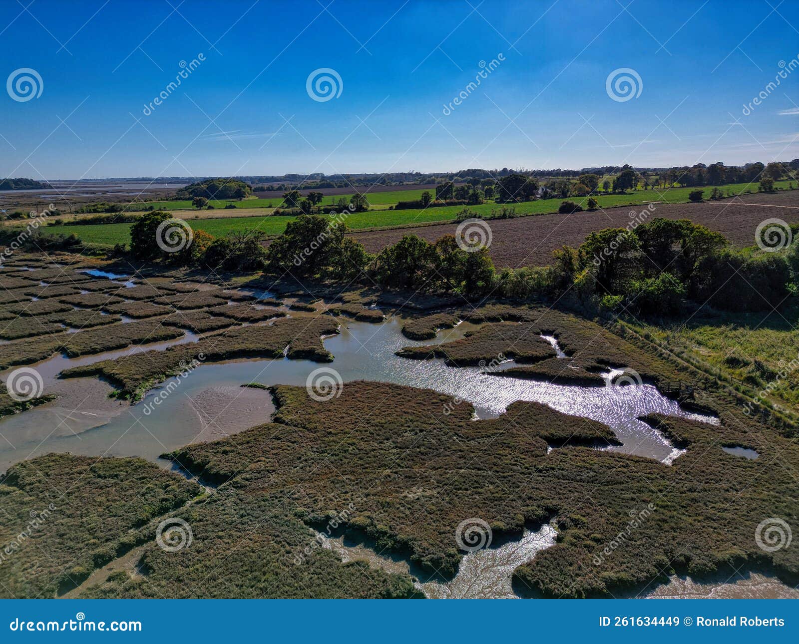 Riverbank Marsh stock image. Image of riverside, suffolk - 261634449