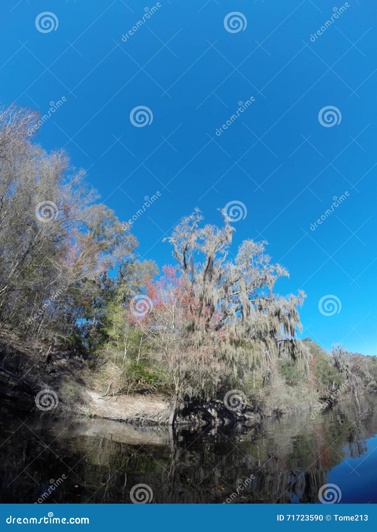 Riverbank stock photo. Image of rock, bank, landform - 71723590