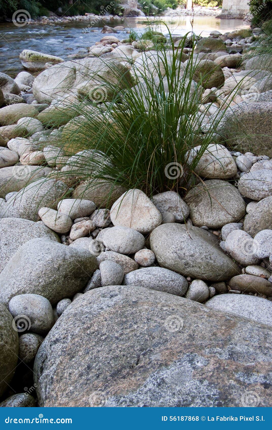 Riverbank stock photo. Image of outdoors, riverbank, landscape - 56187868