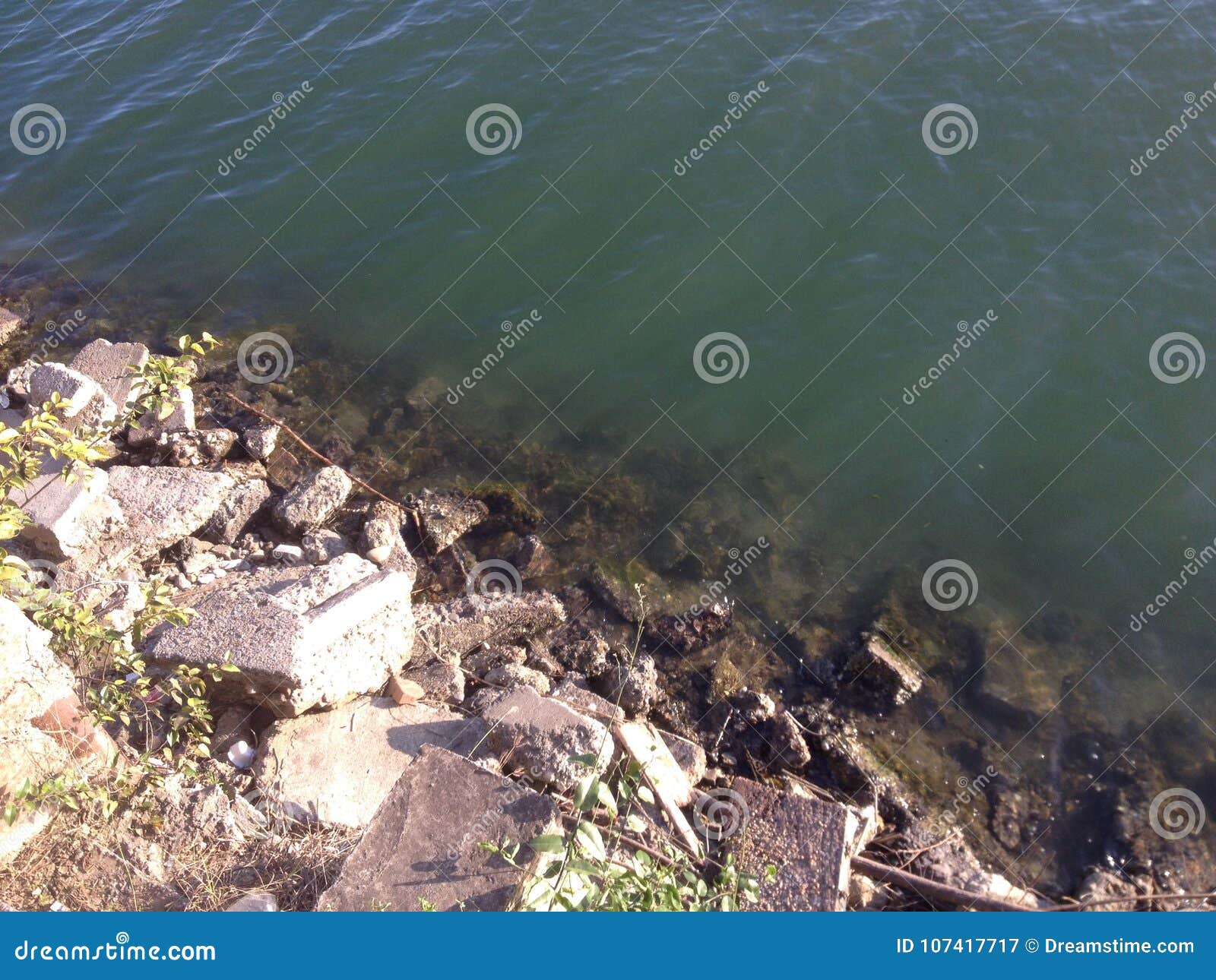 The riverbank stock image. Image of water, pcean, riverbank - 107417717