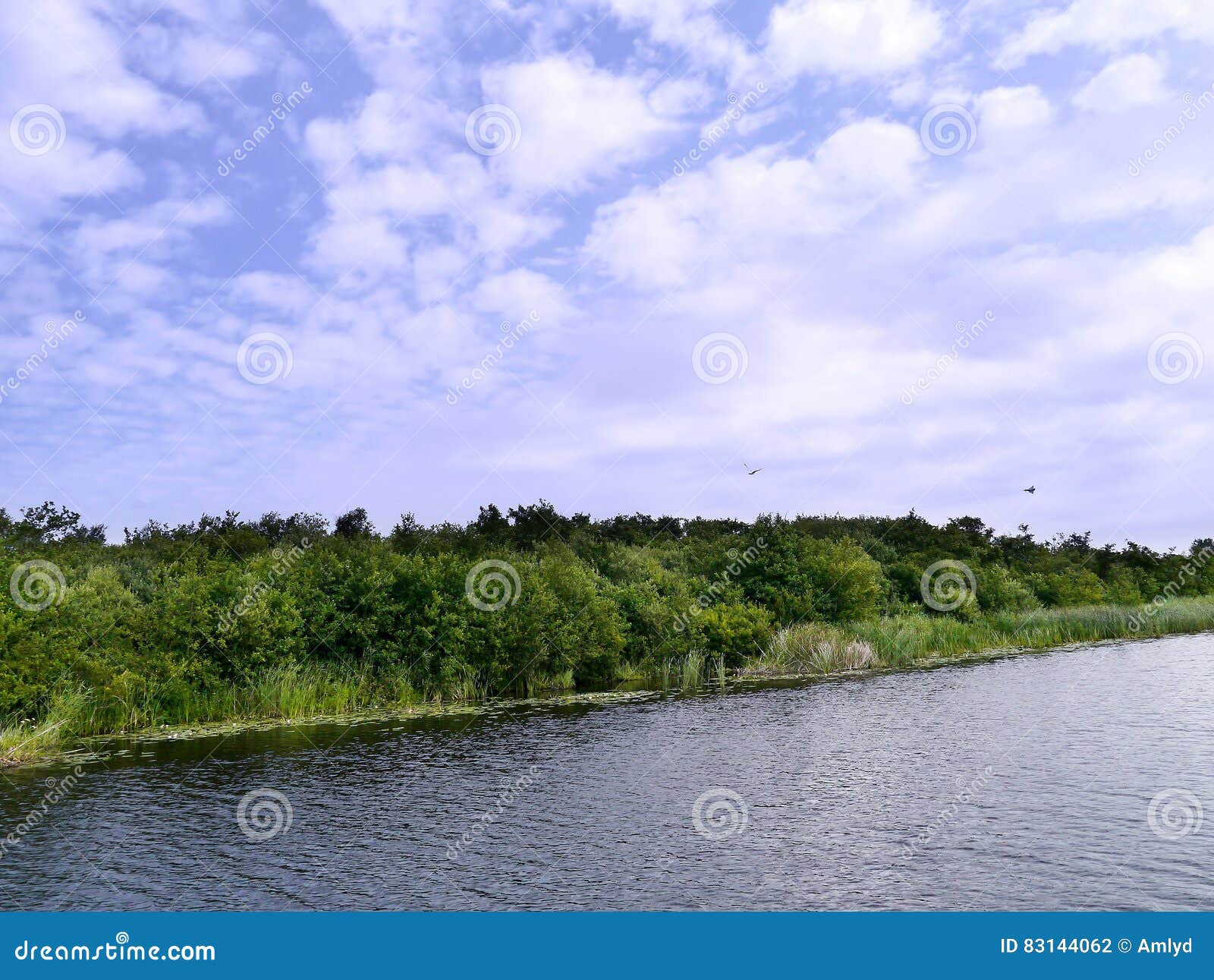 Riverbank scene stock photo. Image of endearing, bright - 83144062