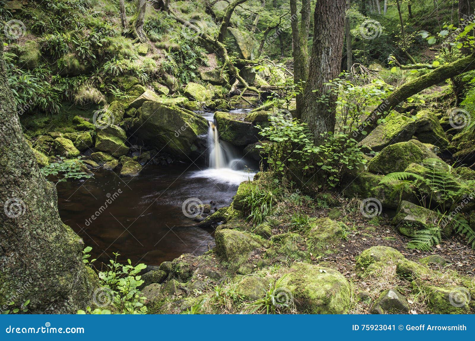 Riverbank and Waterfall at Padley Gorge in Derbyshire Stock Image ...