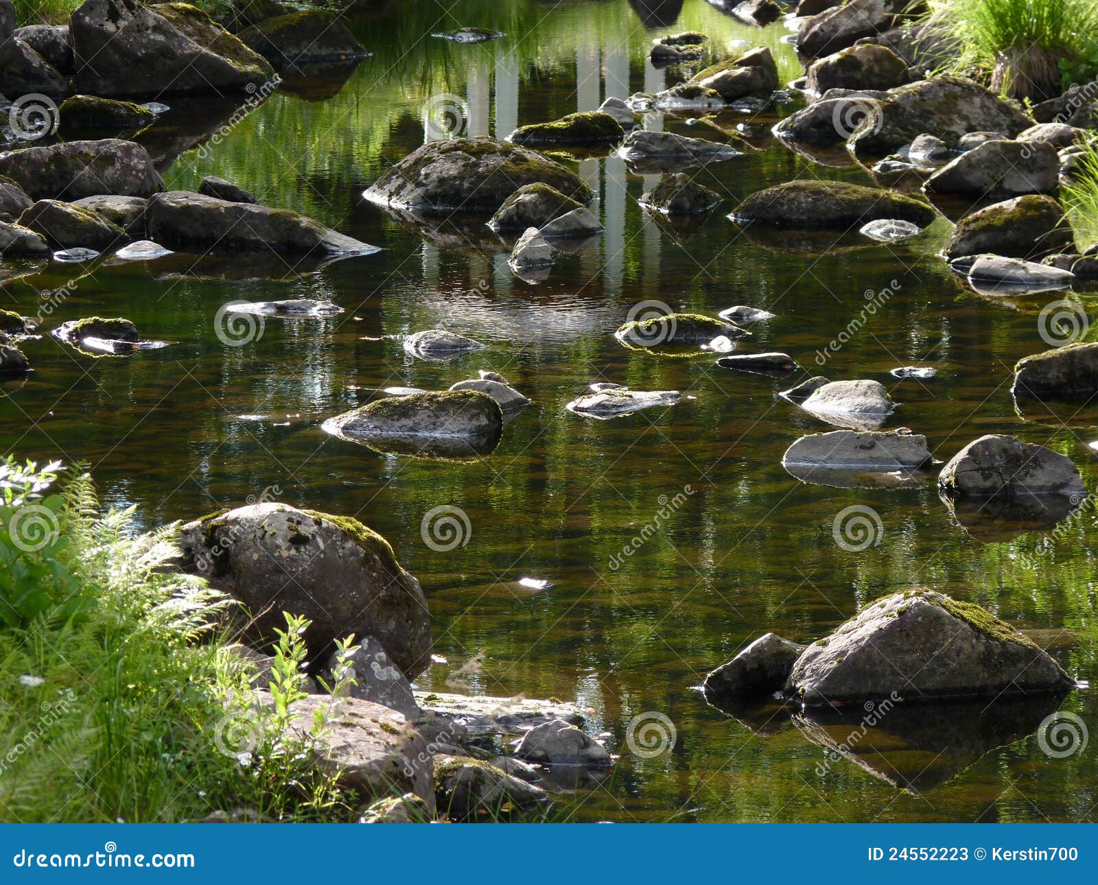 Riverbed stock image. Image of grass, recreation, reflection - 24552223