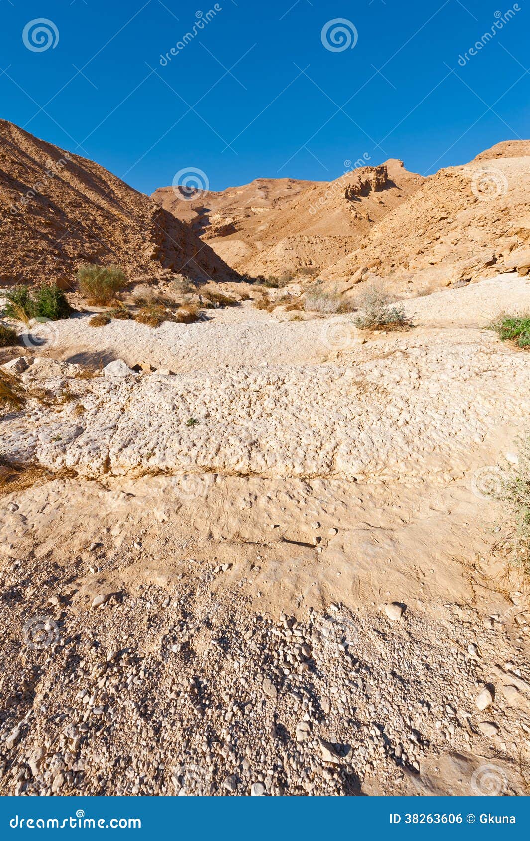 Riverbed stock photo. Image of country, holy, riverbed - 38263606
