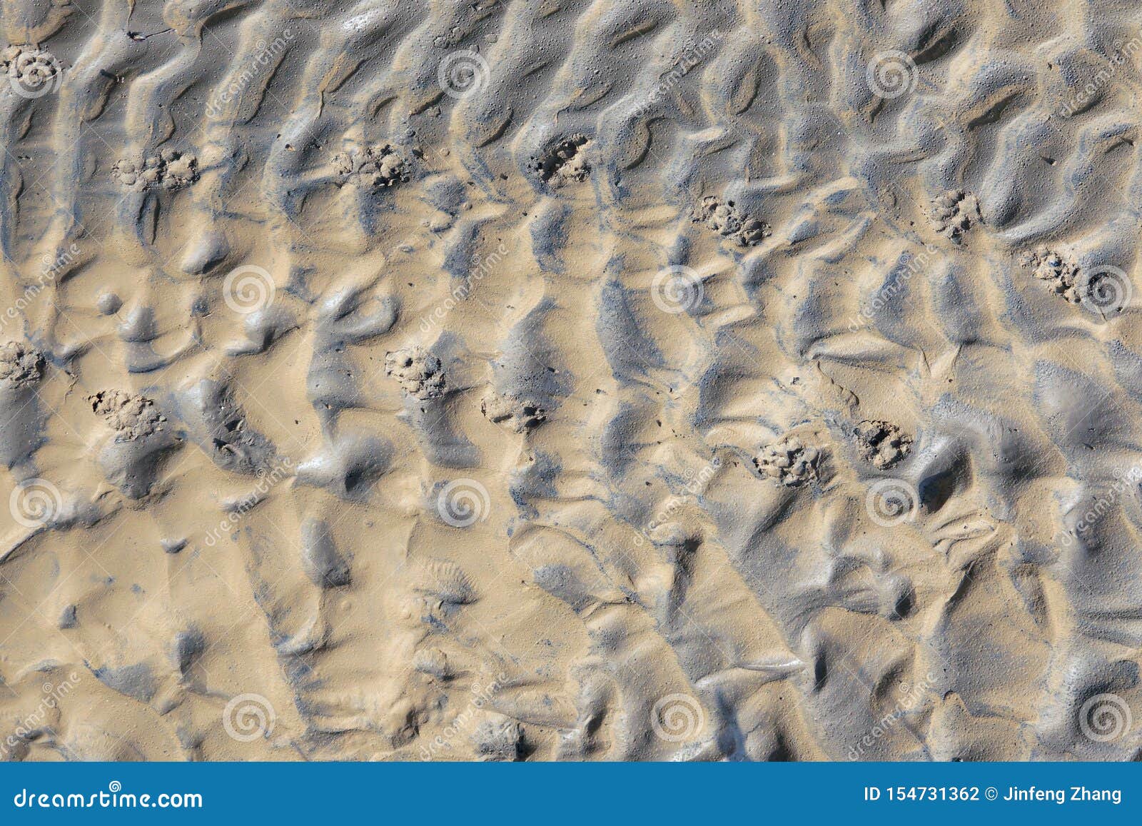 Riverbed Com Trilhas De Animais Foto de Stock - Imagem de pegada ...