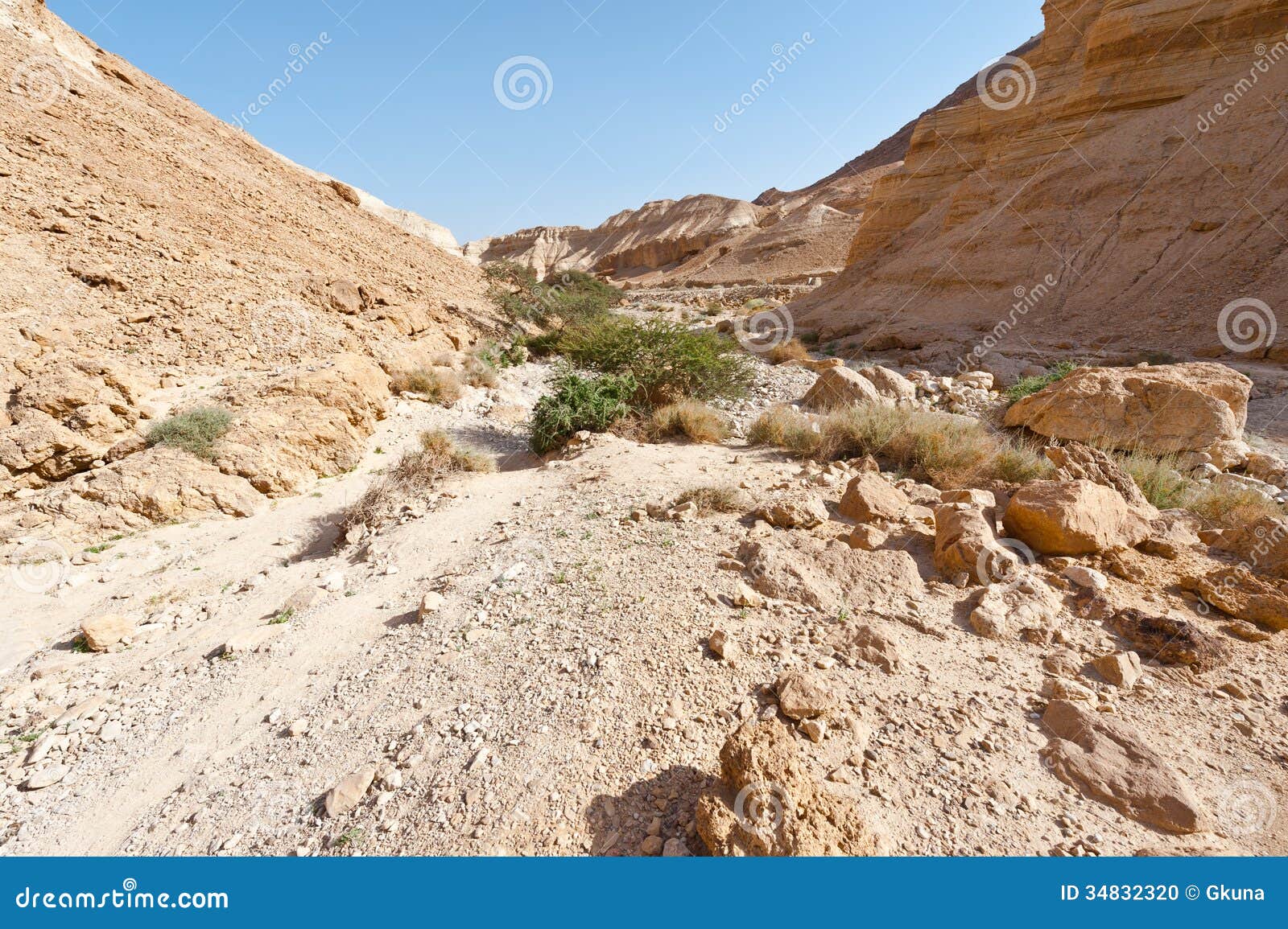 Riverbed stock photo. Image of canyon, arid, countryside - 34832320
