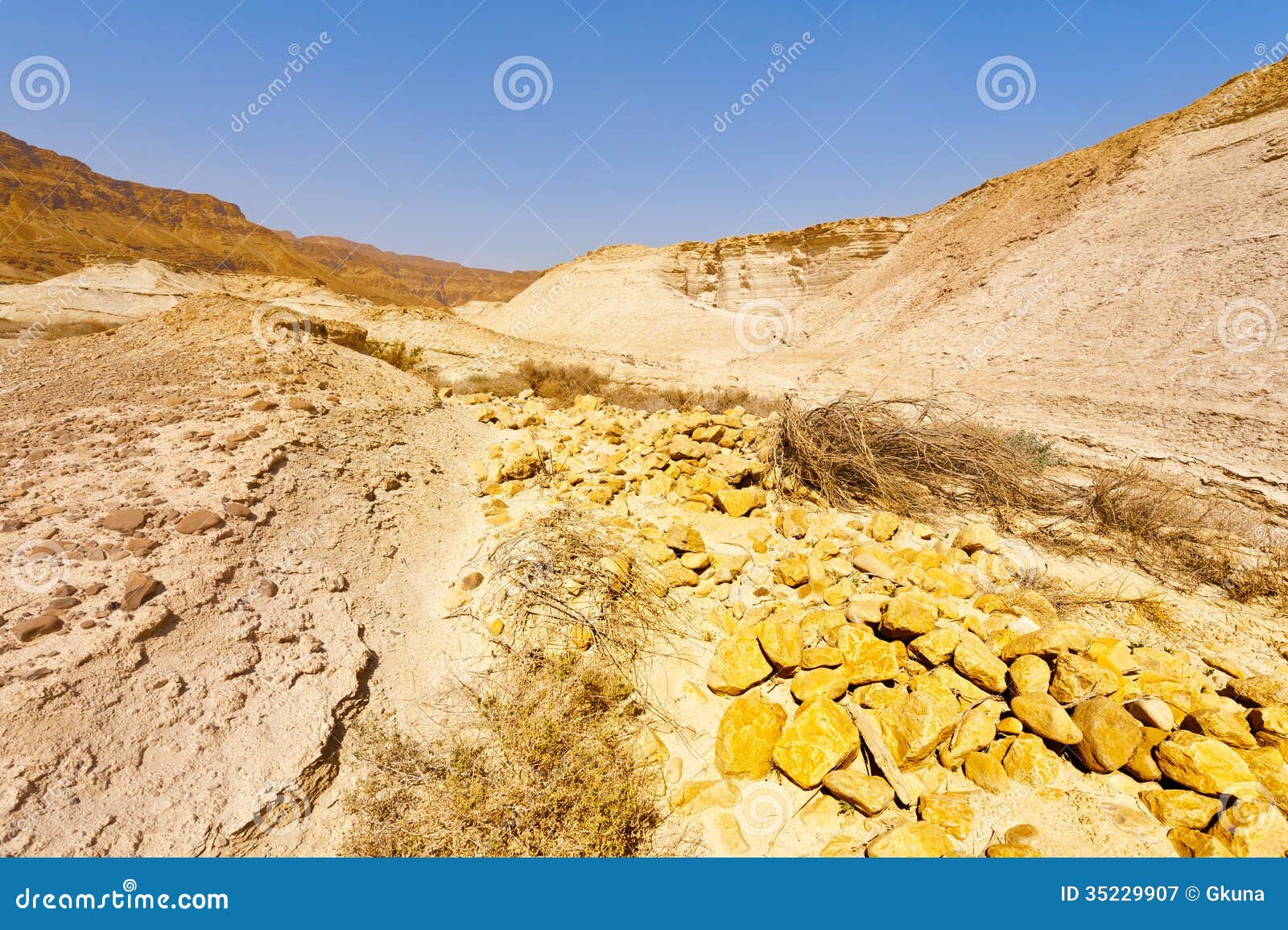 Riverbed stock image. Image of nature, reserve, driedup - 35229907