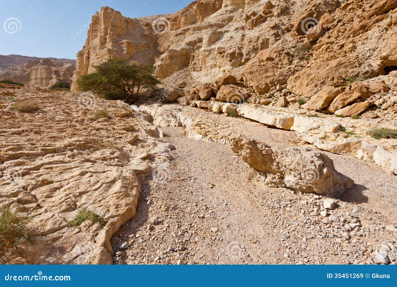 Riverbed stock image. Image of landscape, drought, holy - 35451269