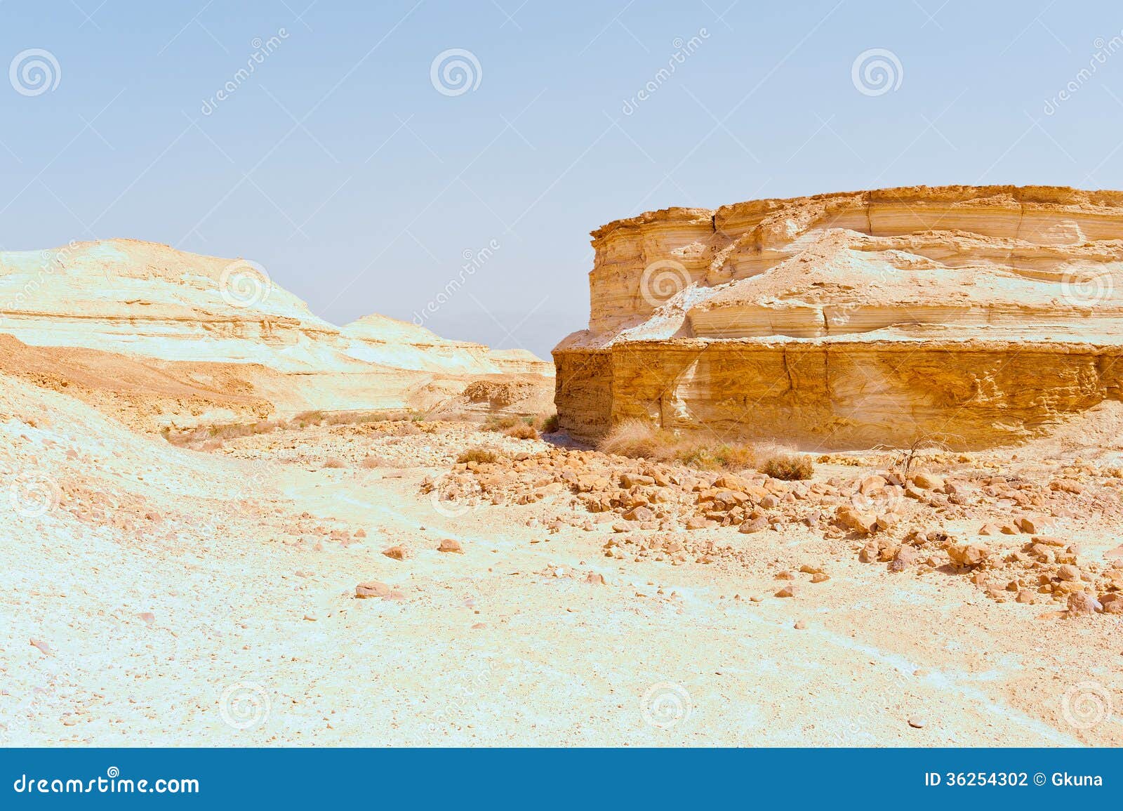 Riverbed stock photo. Image of dirt, landscape, nature - 36254302